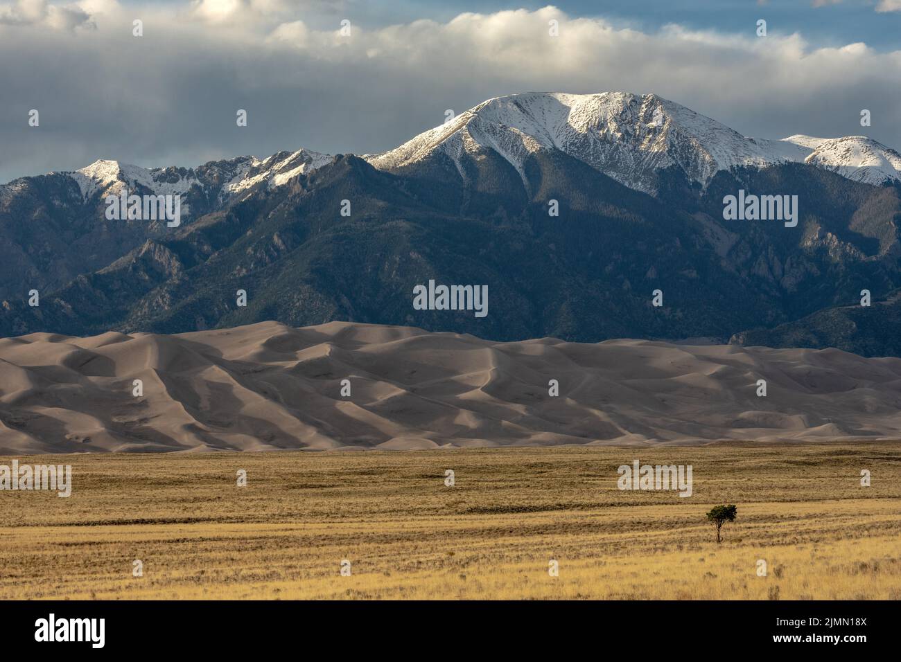 Yellow Field of Grass Below Dunes and Mountains in Great Sand Dunes ...