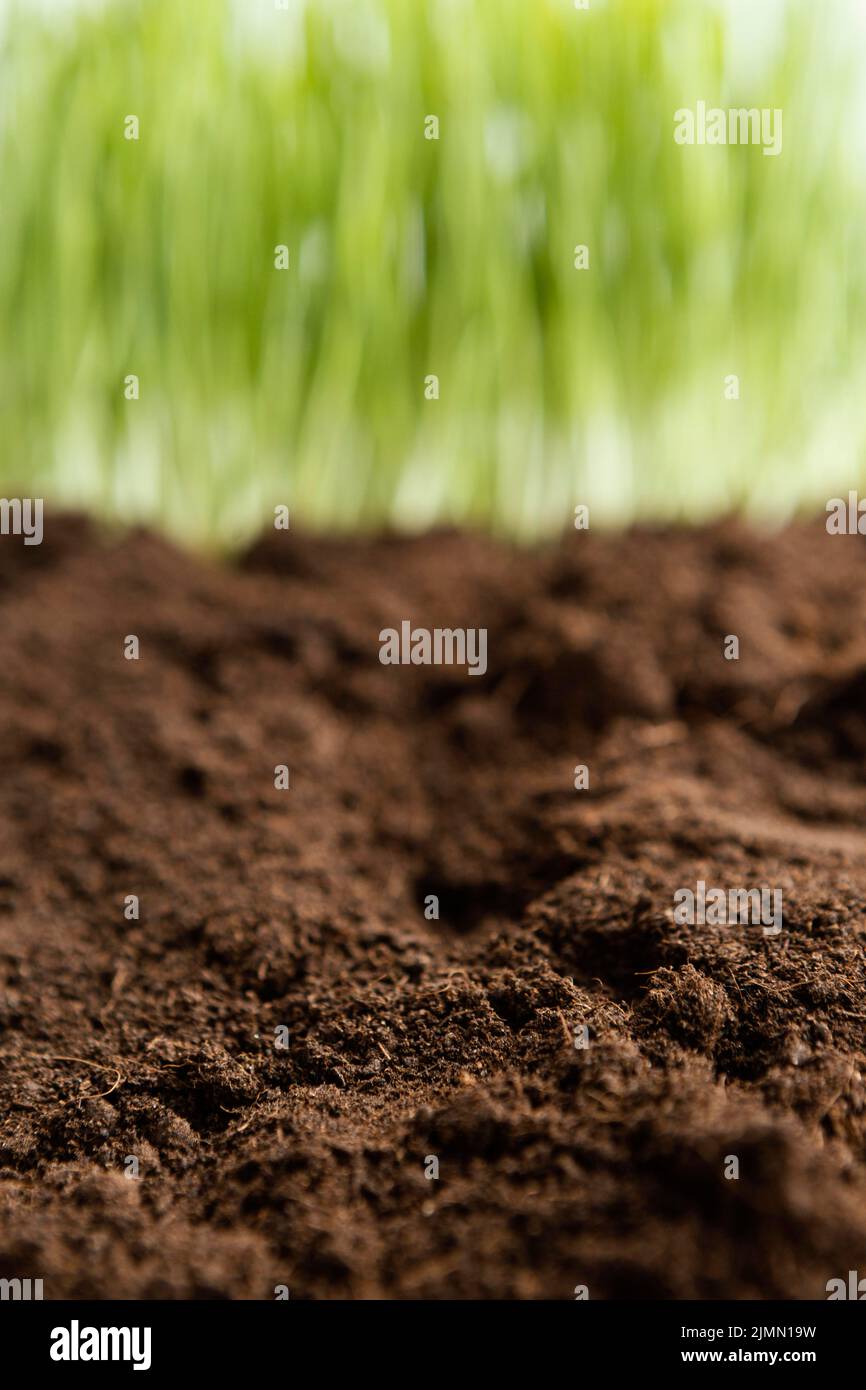 Grass soil hi-res stock photography and images - Alamy