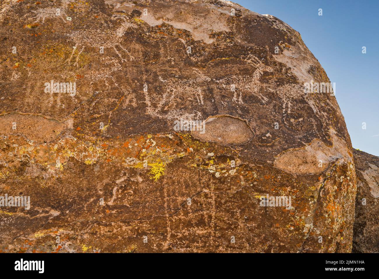 Petroglyphs panel at tuff rock boulder, Mt Irish Archaeological ...