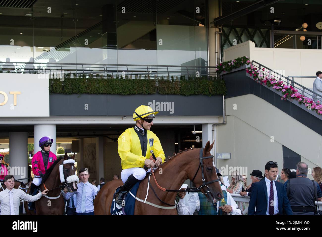 Value theory horse hi-res stock photography and images - Alamy