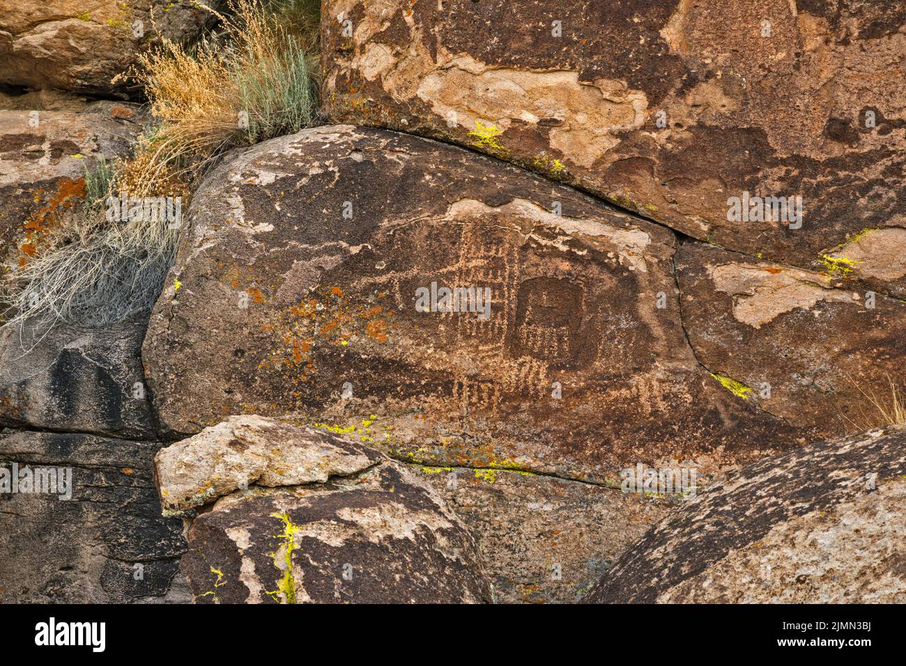 Petroglyphs at tuff outcrop, Mt Irish Archaeological District, Western ...