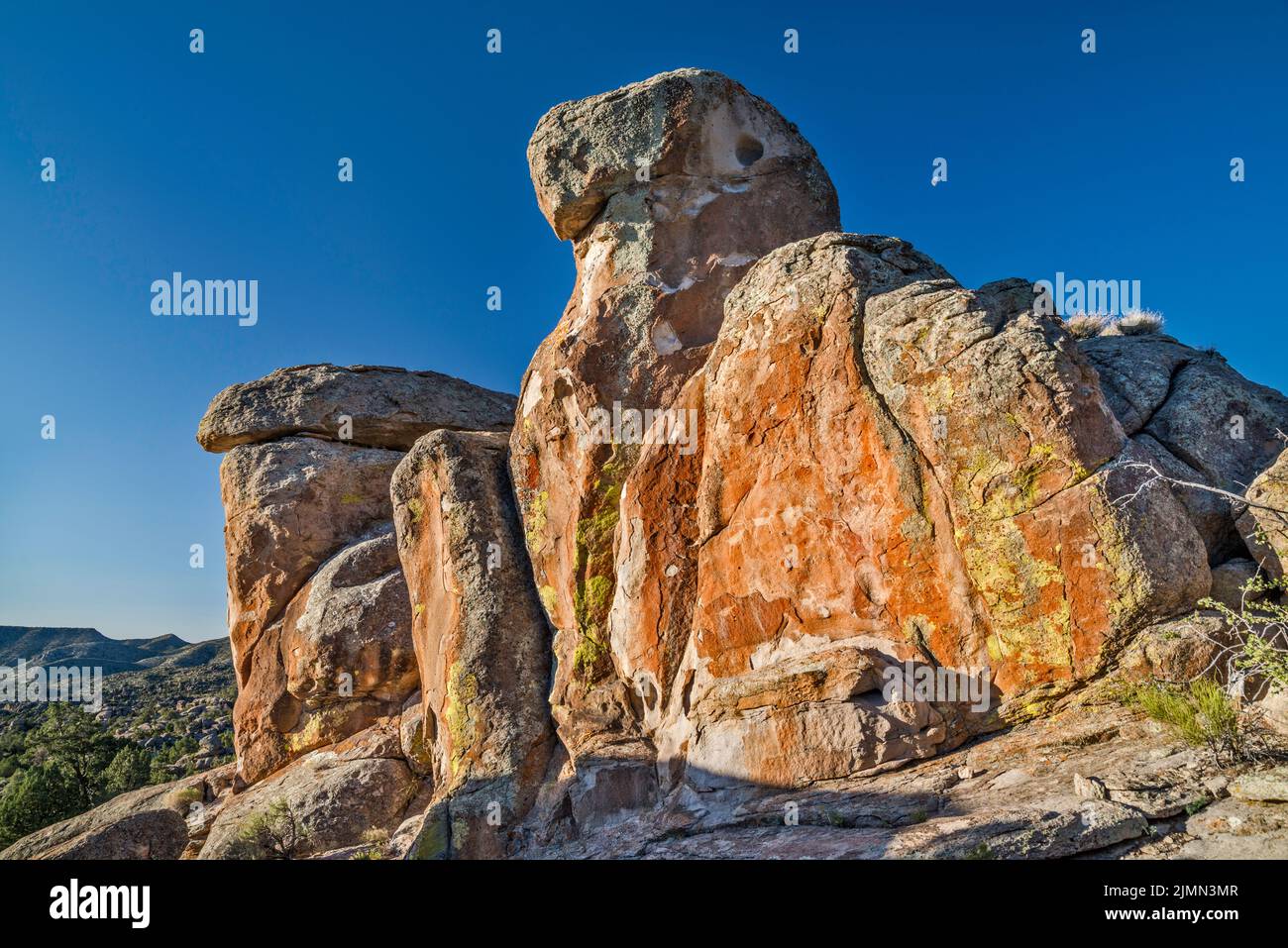 Petroglyphs at tuff rock outcrop, Mt Irish Archaeological District ...