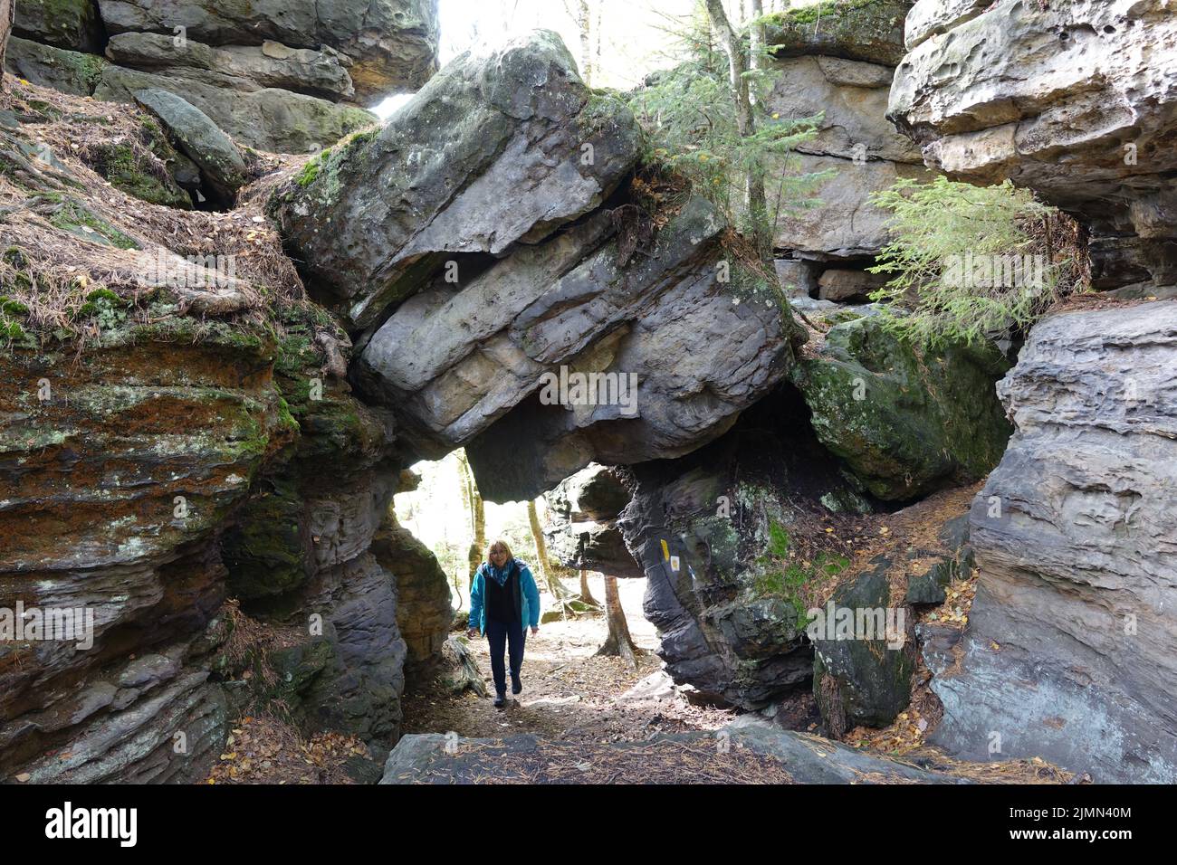 Rock gate in the Biela Valley Stock Photo - Alamy