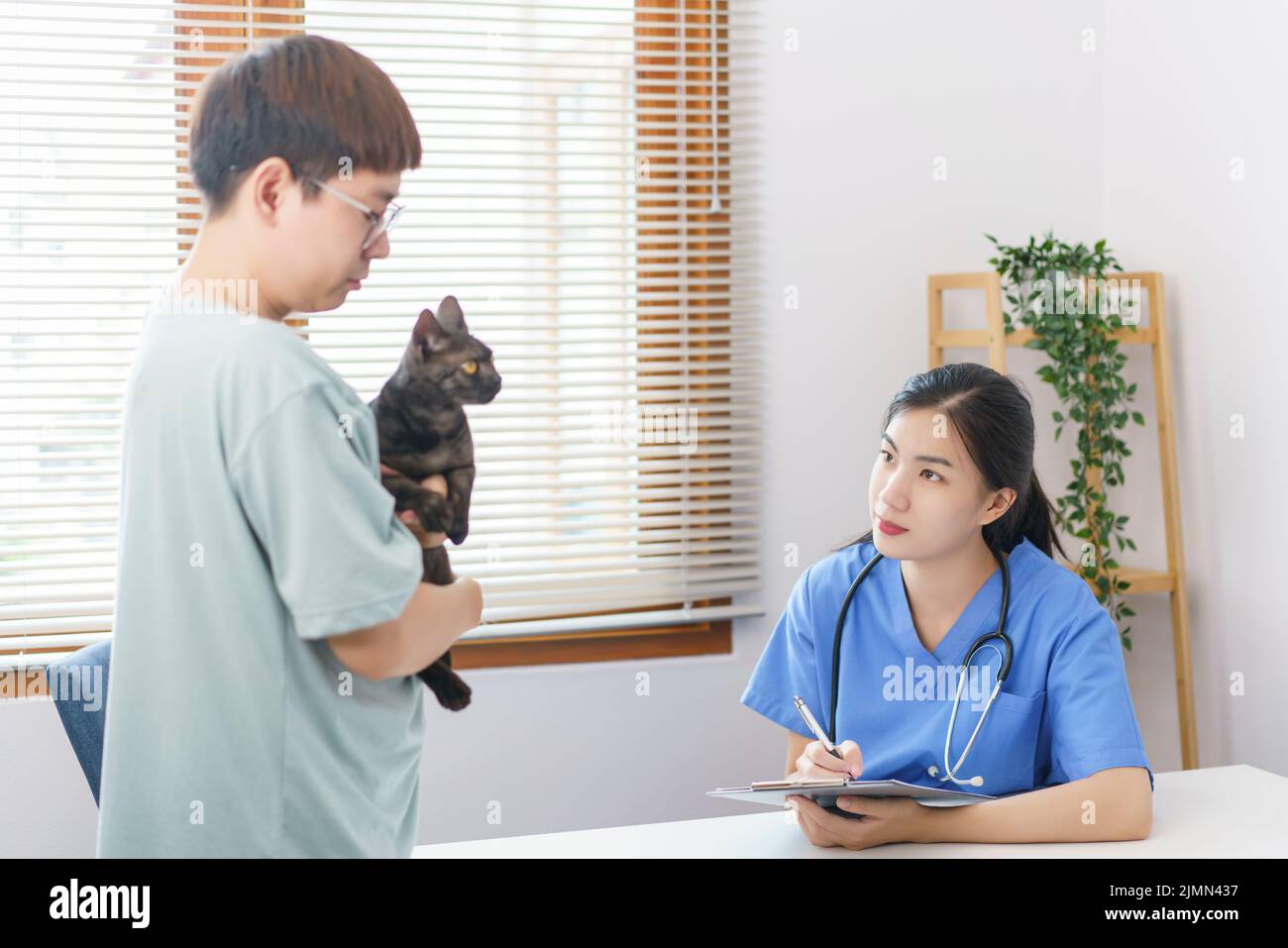 Pet care concept, Female veterinary is writing prescription on ...