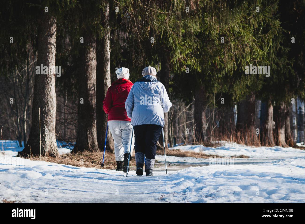 Daily pole walk in the city park, senior women exercise early spring ...