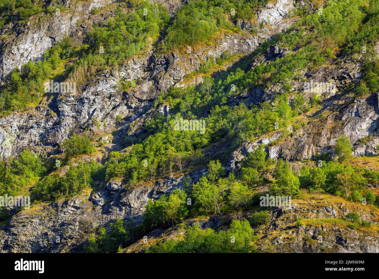 Norway mountains forest in summer, background with copyspace Stock ...