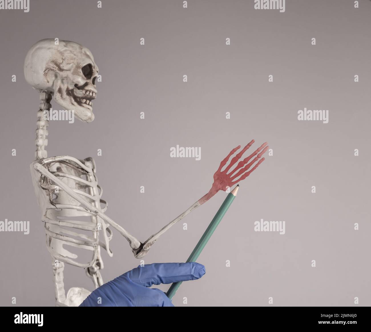 Doctor hand pointing to skeleton fingers with red point. Joints ...