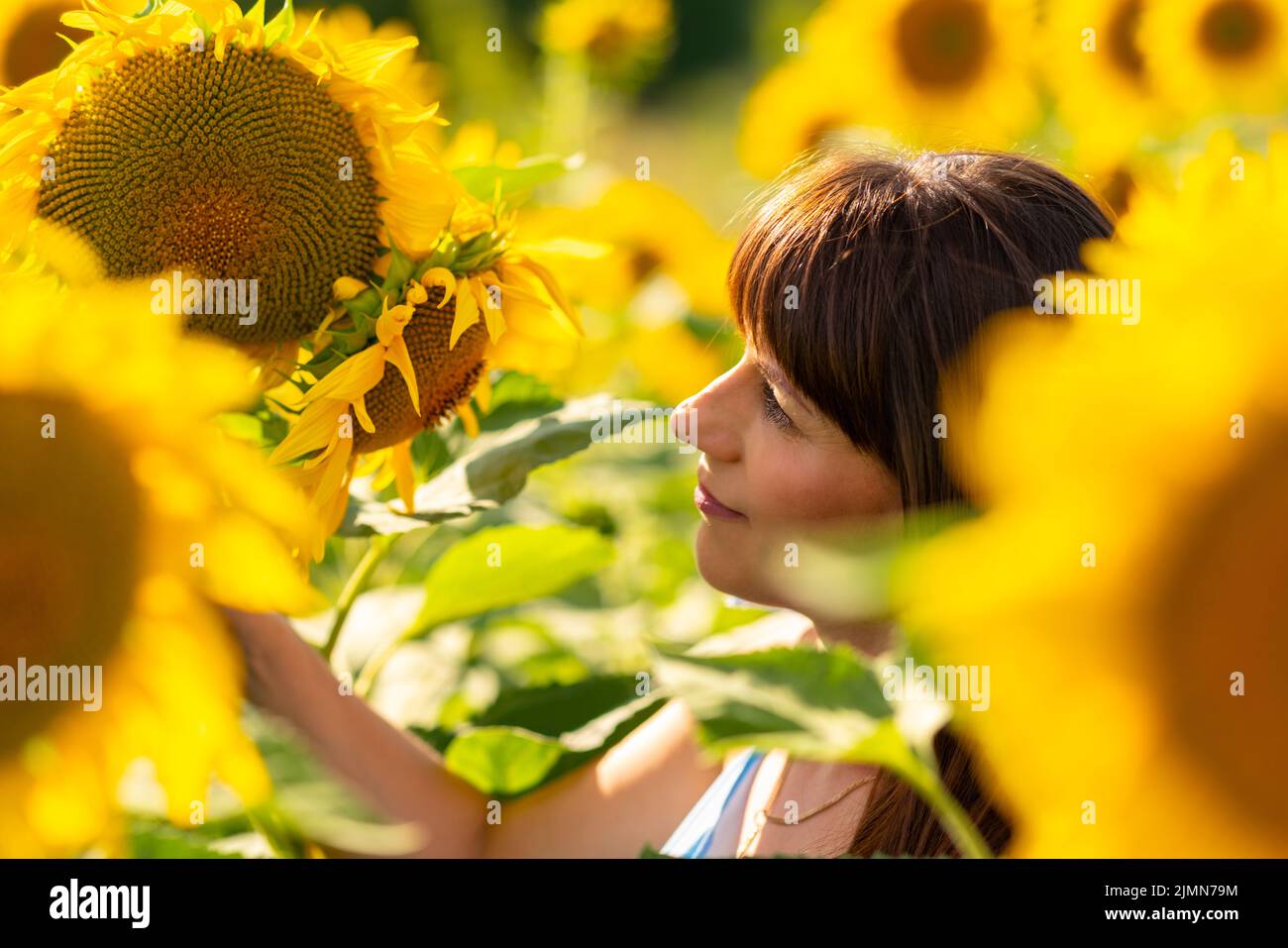 Environmental appreciation hi-res stock photography and images - Alamy