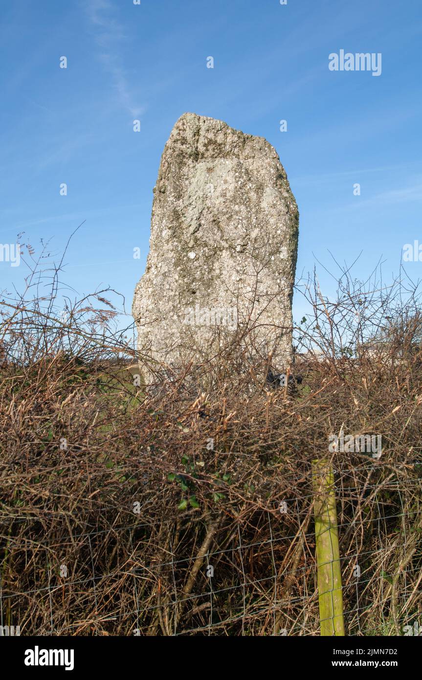 Standing stone near Burry, Gower, Wales, UK Stock Photo - Alamy