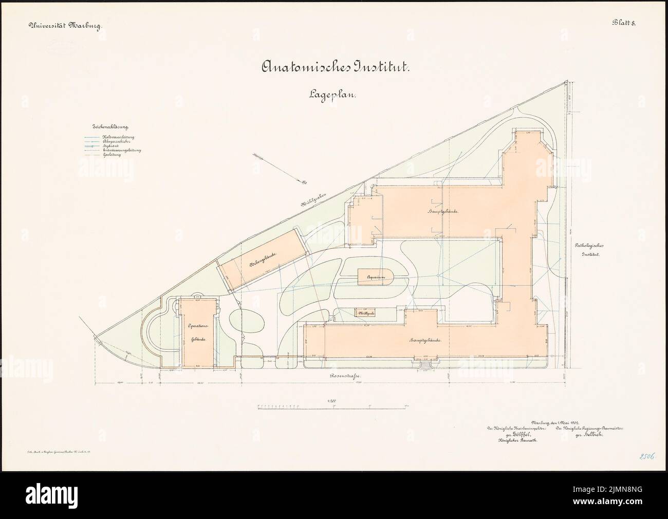Zolffel bernhard anatomisches institut der philipps universitat marburg ...