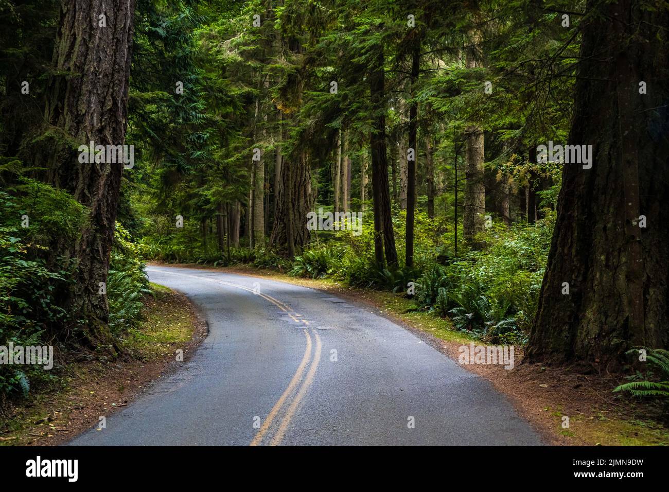 Long roads and scenery hi-res stock photography and images - Alamy