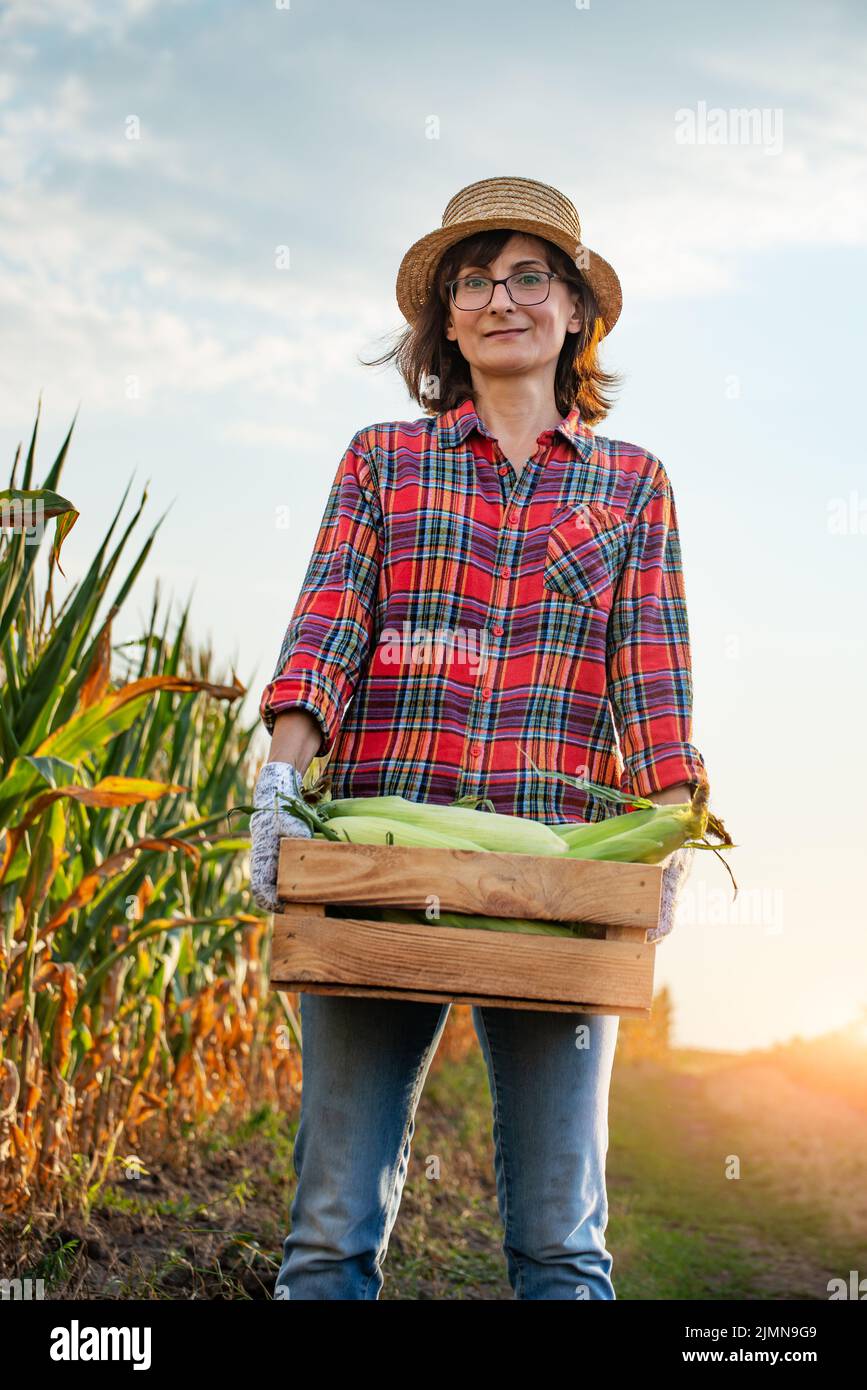 Female caucasian farm worker holds wooden crate with corn cobs with ...