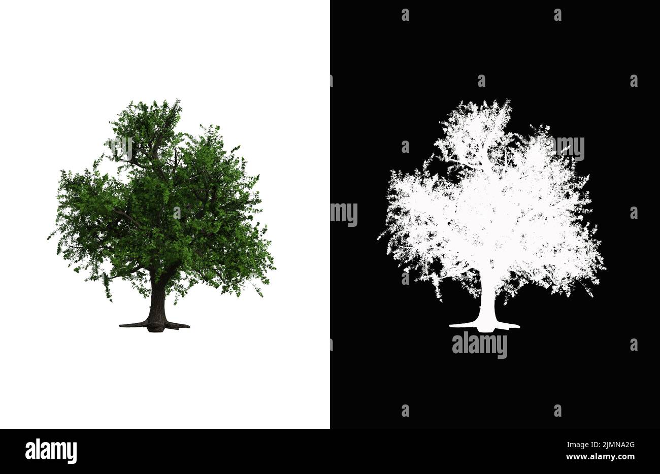 Alpha layer hi-res stock photography and images - Alamy