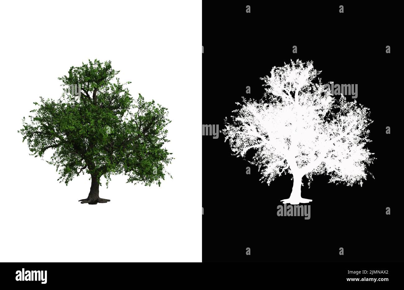 Transparent alpha hi-res stock photography and images - Alamy