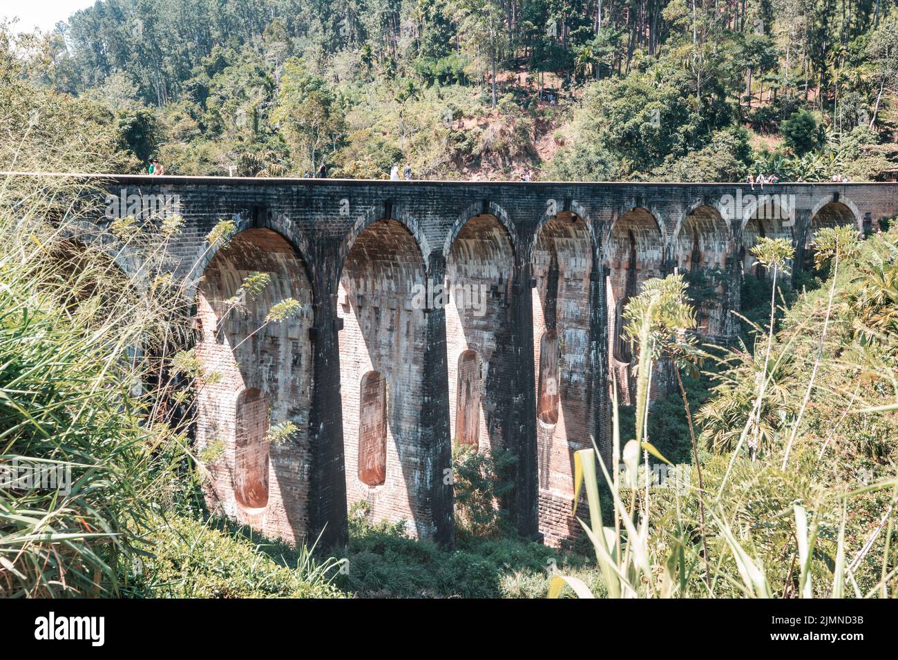 Bridge on Sri Lanka Stock Photo - Alamy