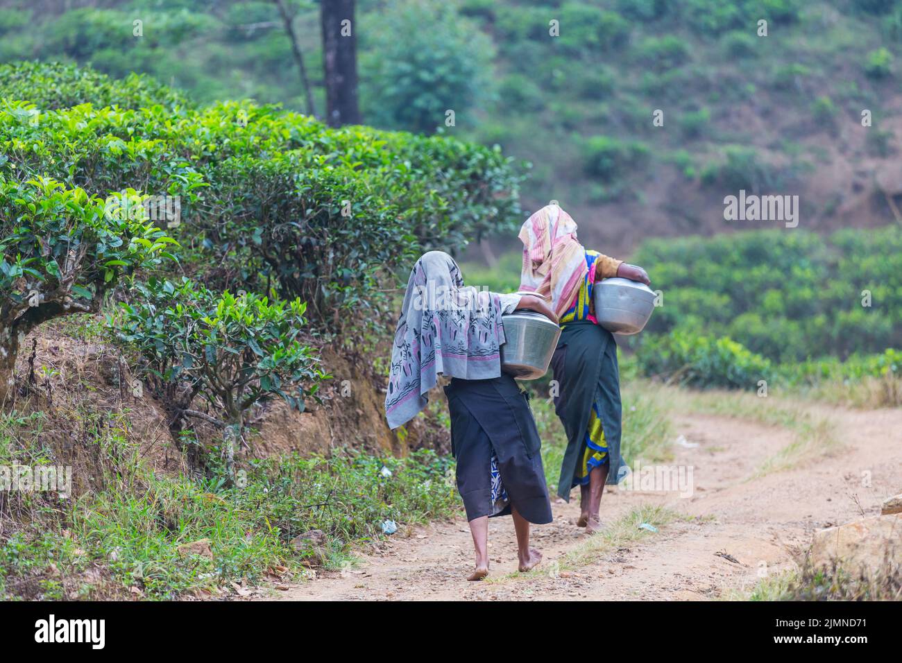 Sri Lanka people Stock Photo - Alamy