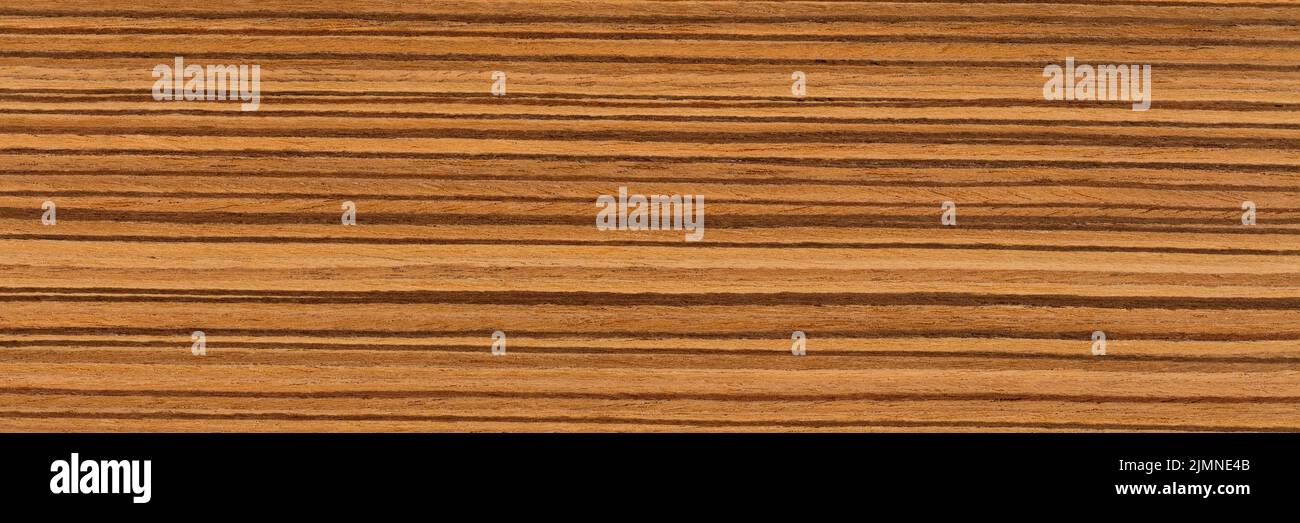 Veneer background with attractive surface. Natural long wood texture ...