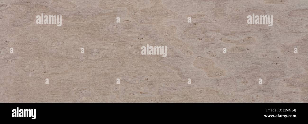 Natural maple veneer background. Natural long veneer sheet Stock Photo ...