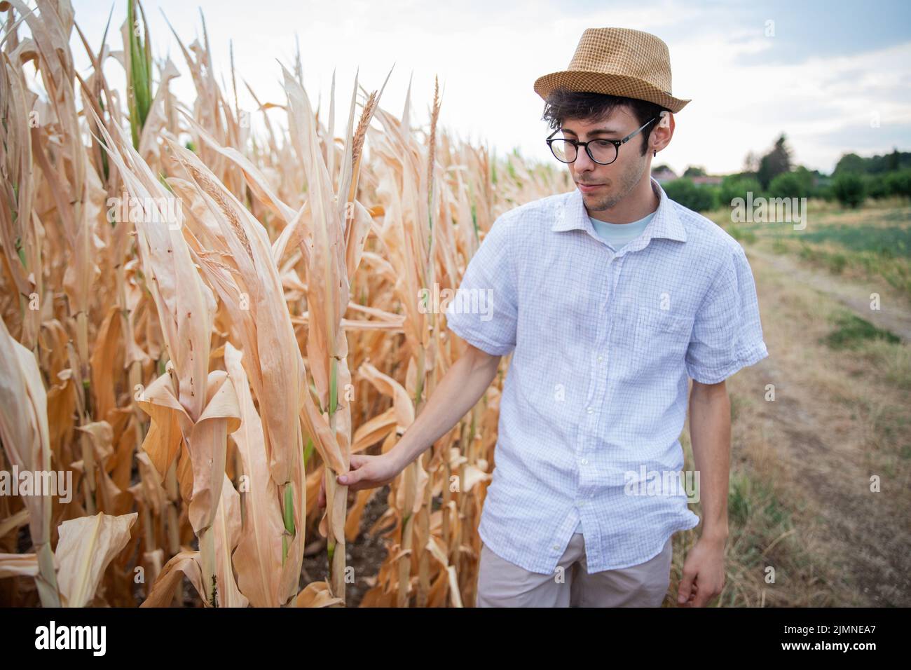 A farmer on his plantation is sad because the drought has burned all ...