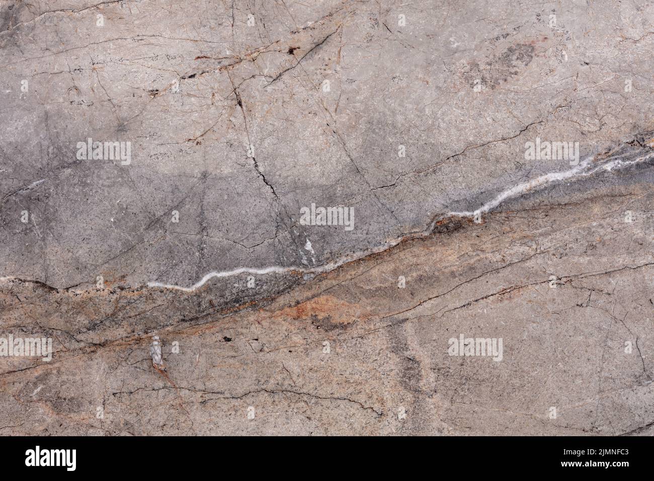Silver Roots Marble background, texture in stylish tone Stock Photo - Alamy