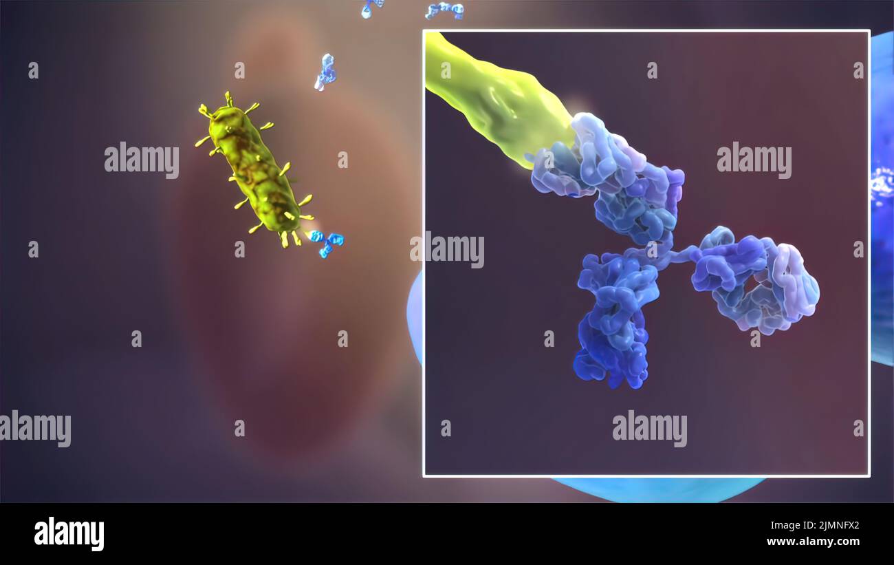 Characterized hi-res stock photography and images - Alamy