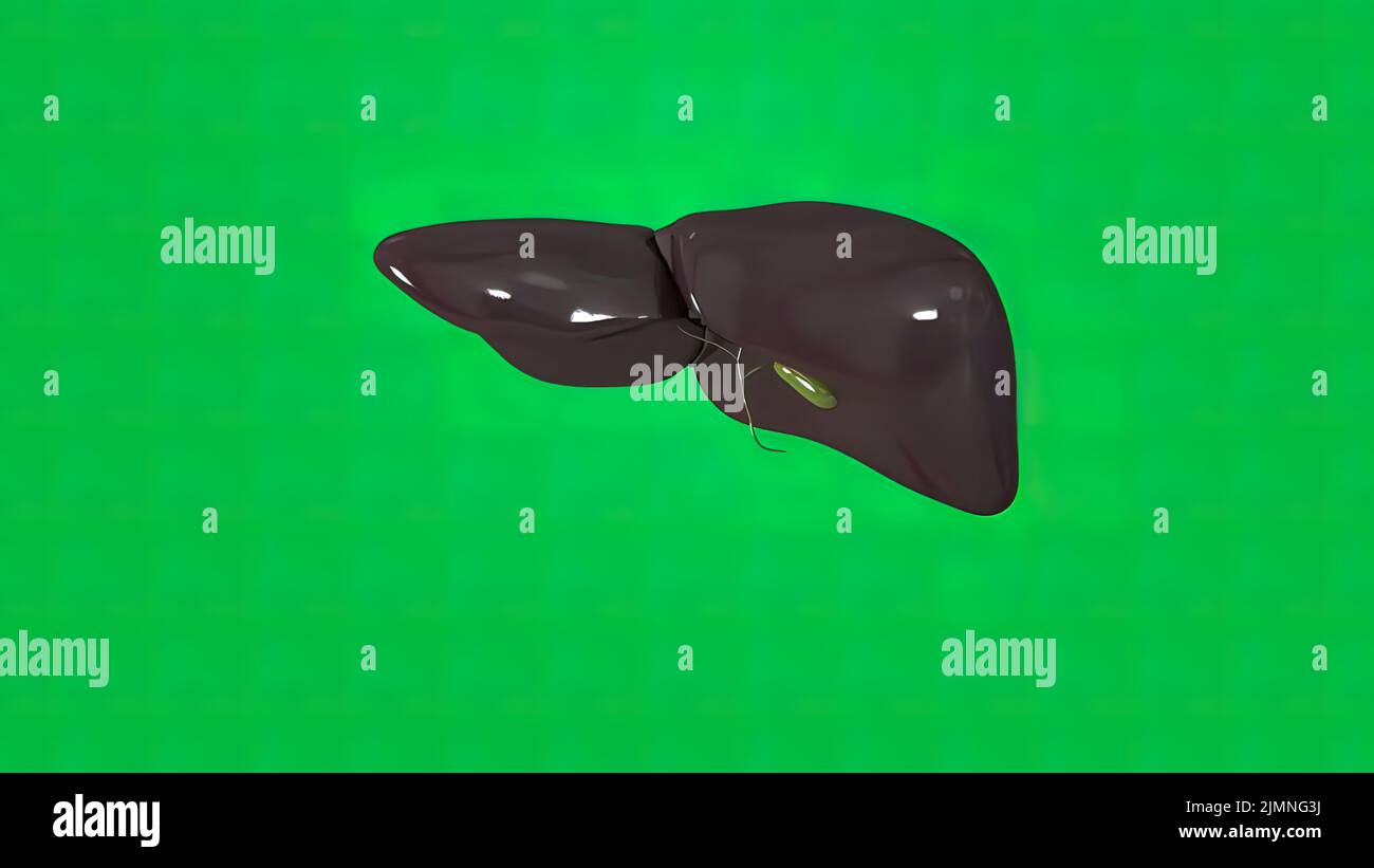 Liver cell structure hi-res stock photography and images - Alamy