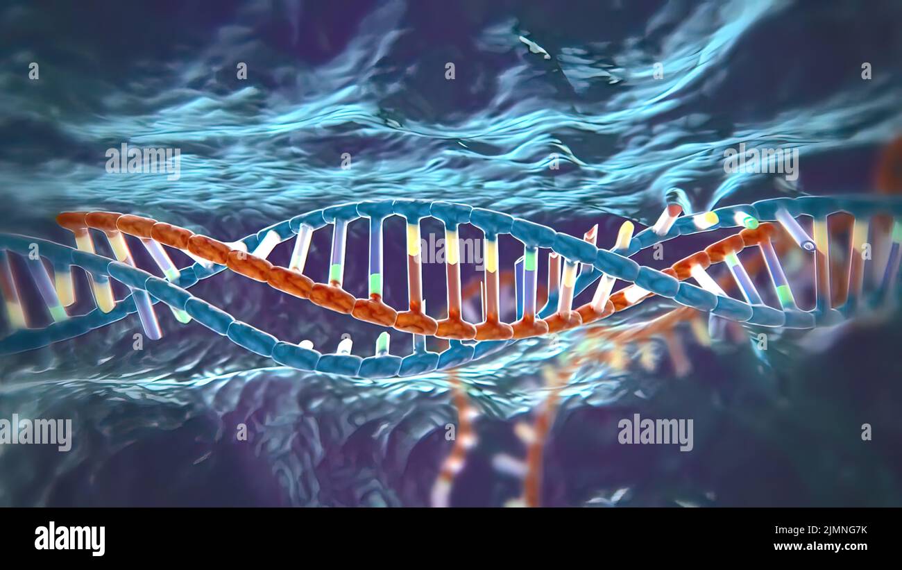 Dna editing hi-res stock photography and images - Alamy