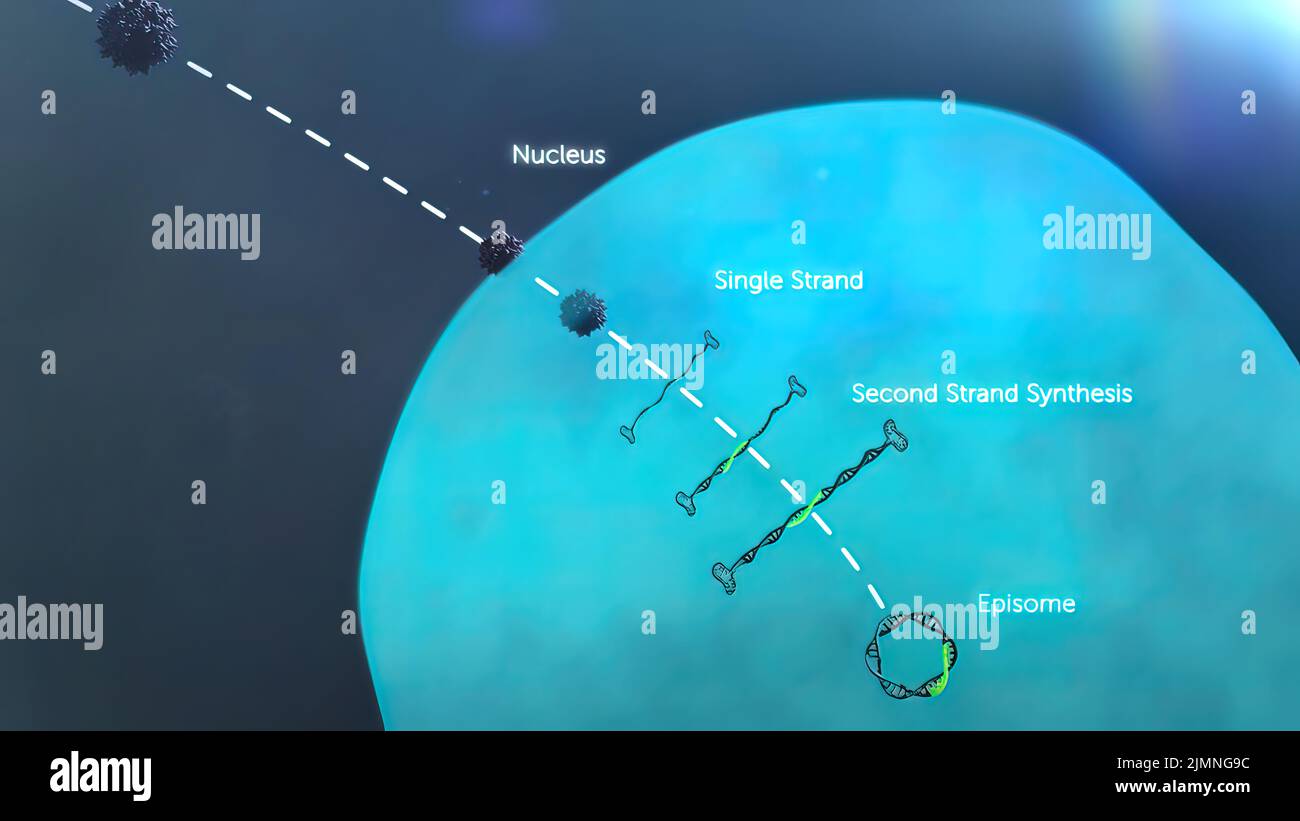 Genetic mutations hi-res stock photography and images - Alamy