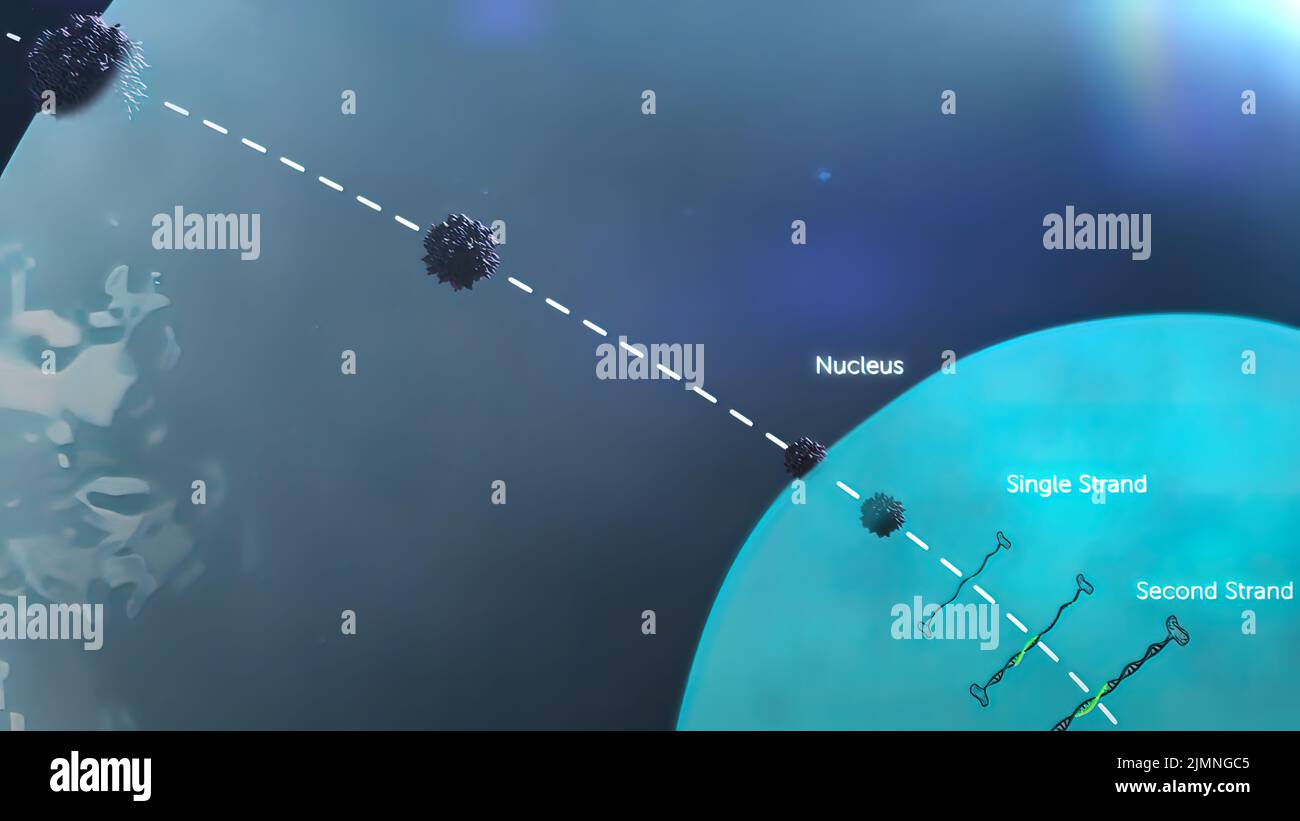 Mutations in their dna hi-res stock photography and images - Alamy
