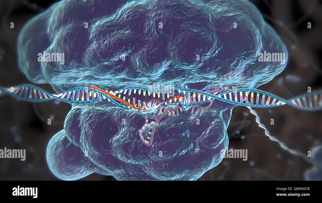 Cysteine metabolism hi-res stock photography and images - Alamy