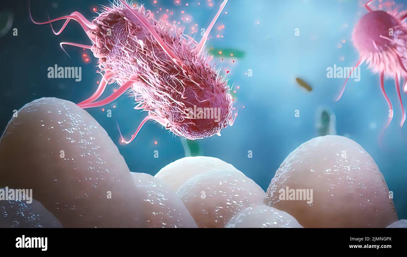 Medical digestive tract hi-res stock photography and images - Alamy