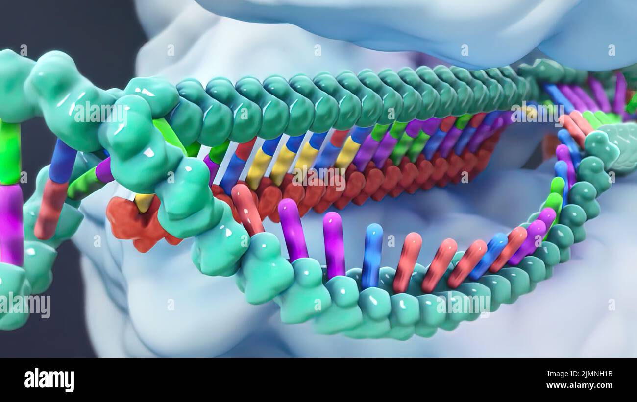 Cysteine metabolism hi-res stock photography and images - Alamy