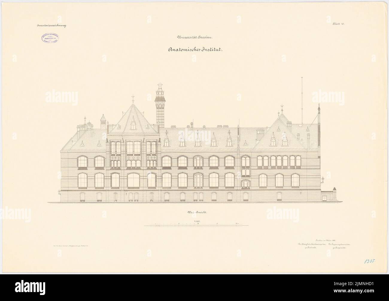 Buchwald Arthur, University, Wroclaw. Medical institutes on Maxstrasse ...