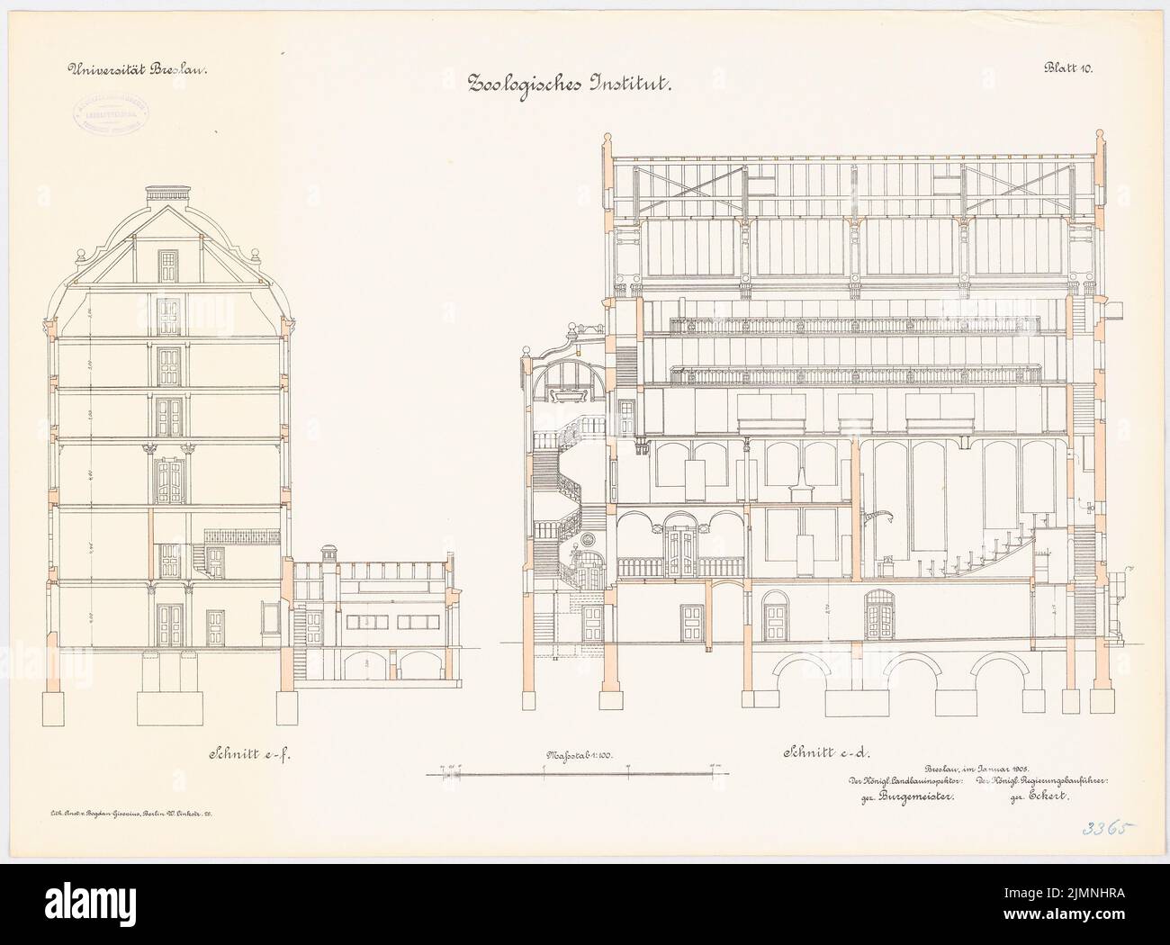 Buchwald Arthur, University, Wroclaw. Zoological Institute (1902-1904 ...