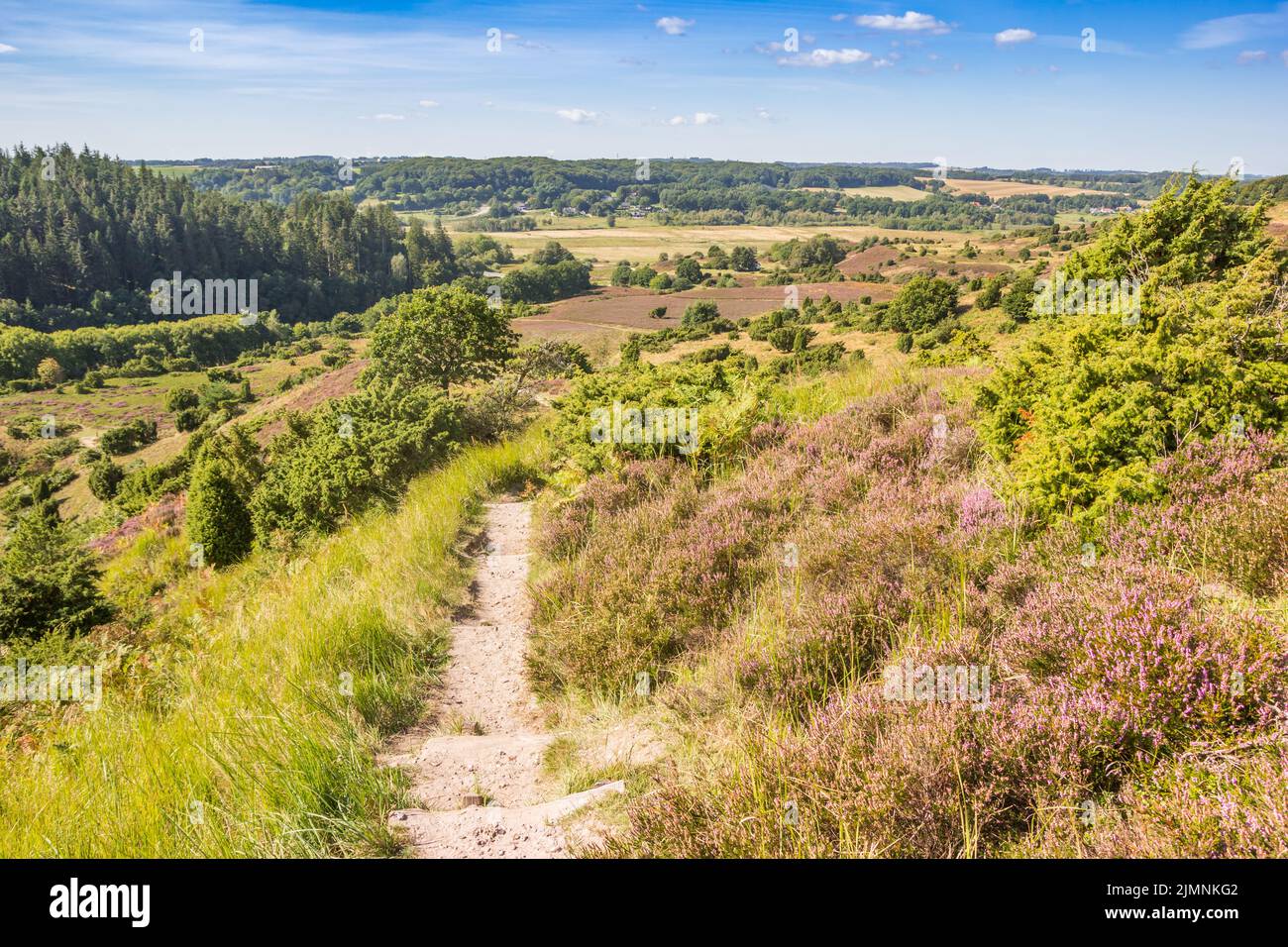 Steps going dow from the top of Sonderland mountain in Rebild Bakker ...