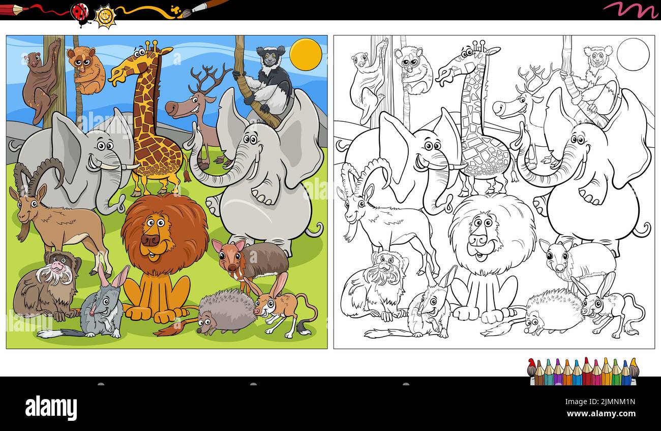 Cartoon wild animal characters group coloring book page Stock Photo - Alamy