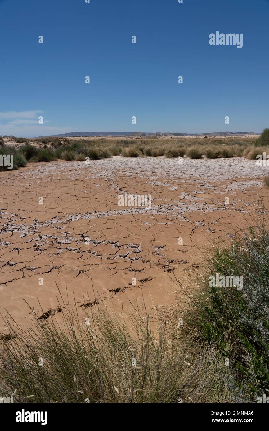 large bird foot prints in a dried out clay lake bed, a semi-desert ...