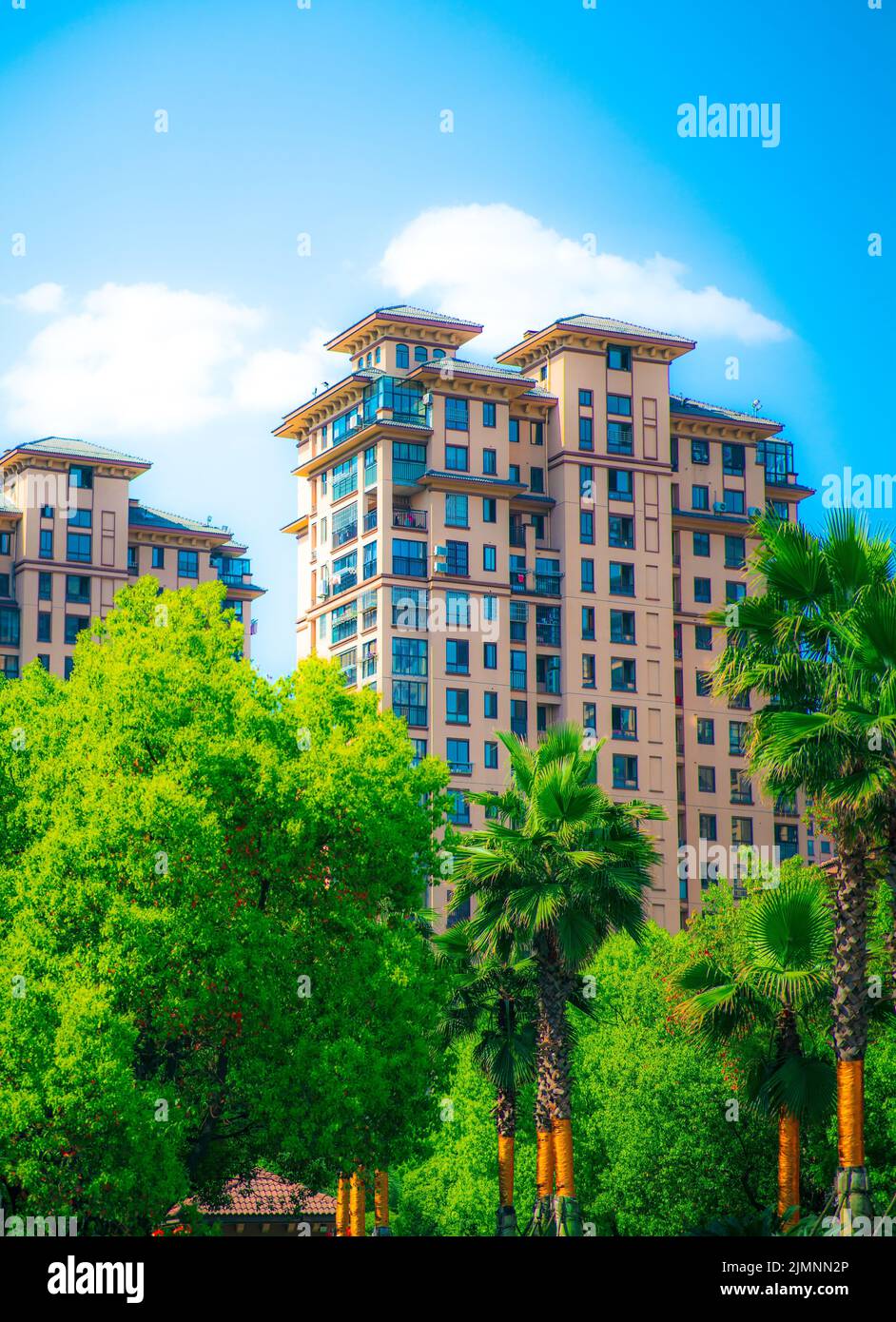 A vertical shot of trees in the background of residential multi-story ...