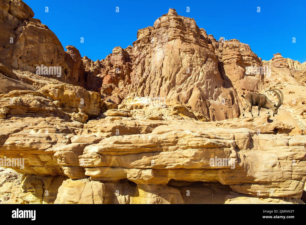 Magnificent sandstone rocks Stock Photo - Alamy