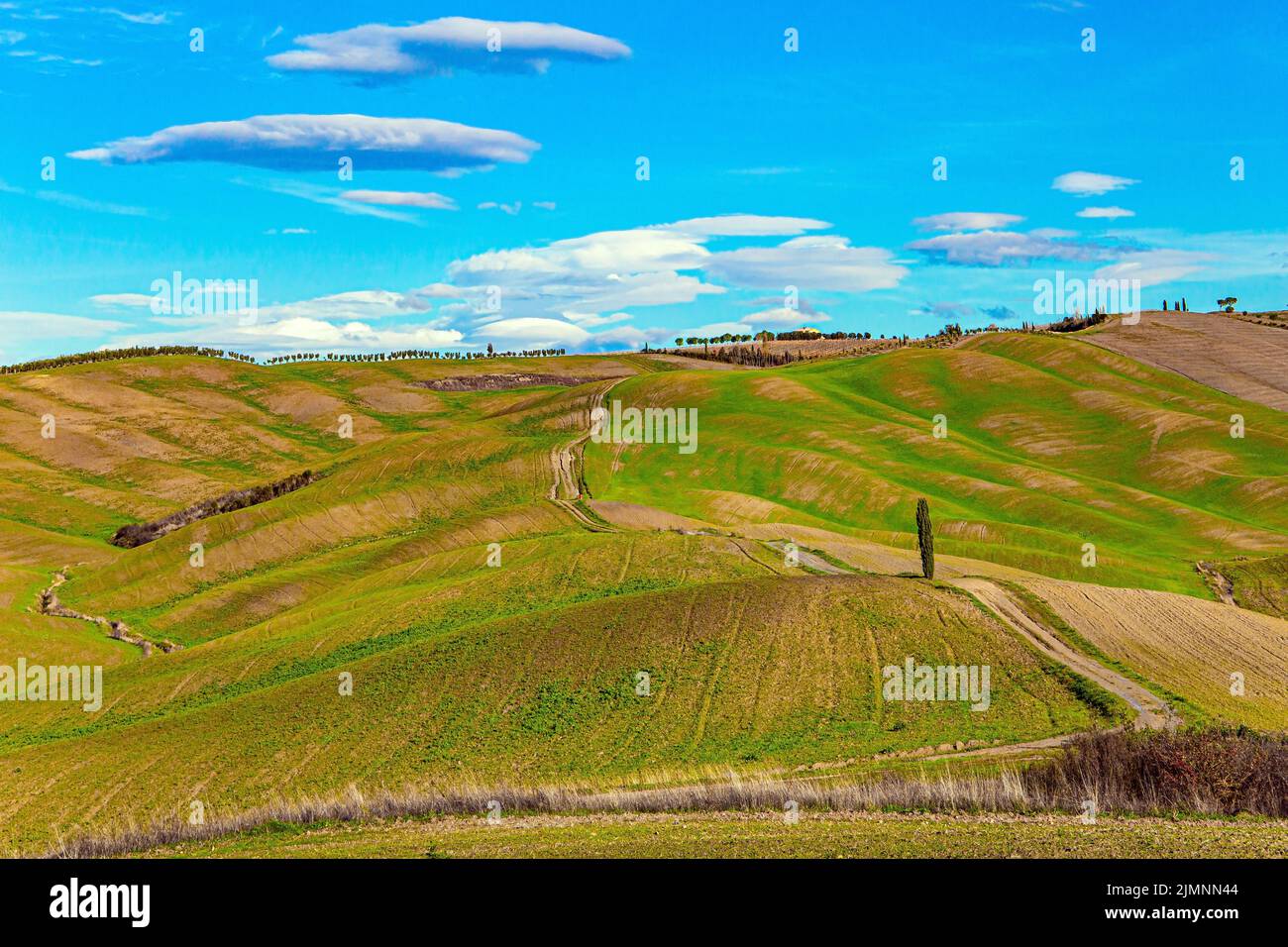 Picturesque scenery green tree hi-res stock photography and images - Alamy