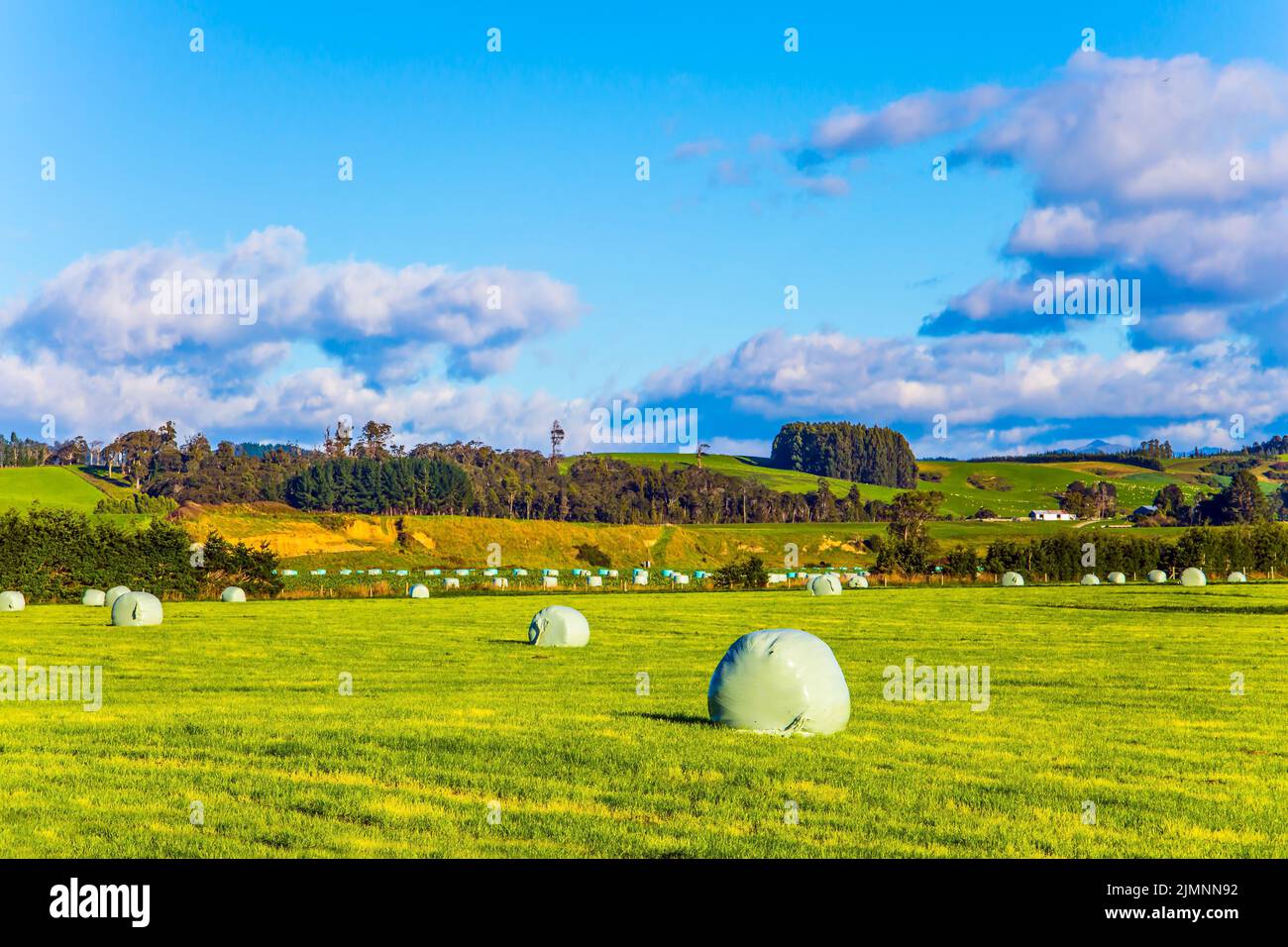 Harvest field hi-res stock photography and images - Alamy
