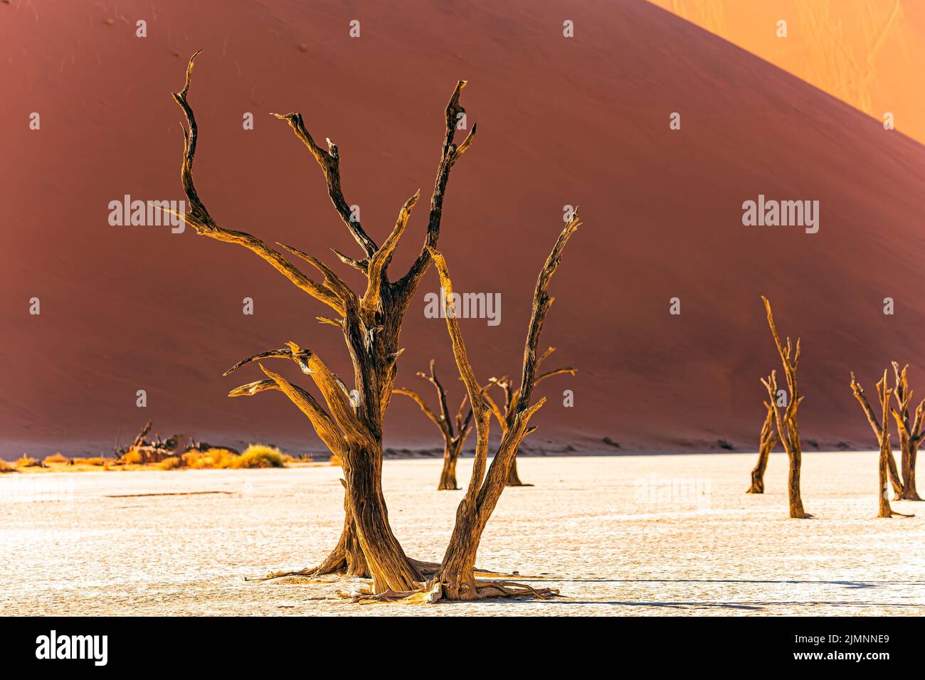 Dry plateau hi-res stock photography and images - Alamy
