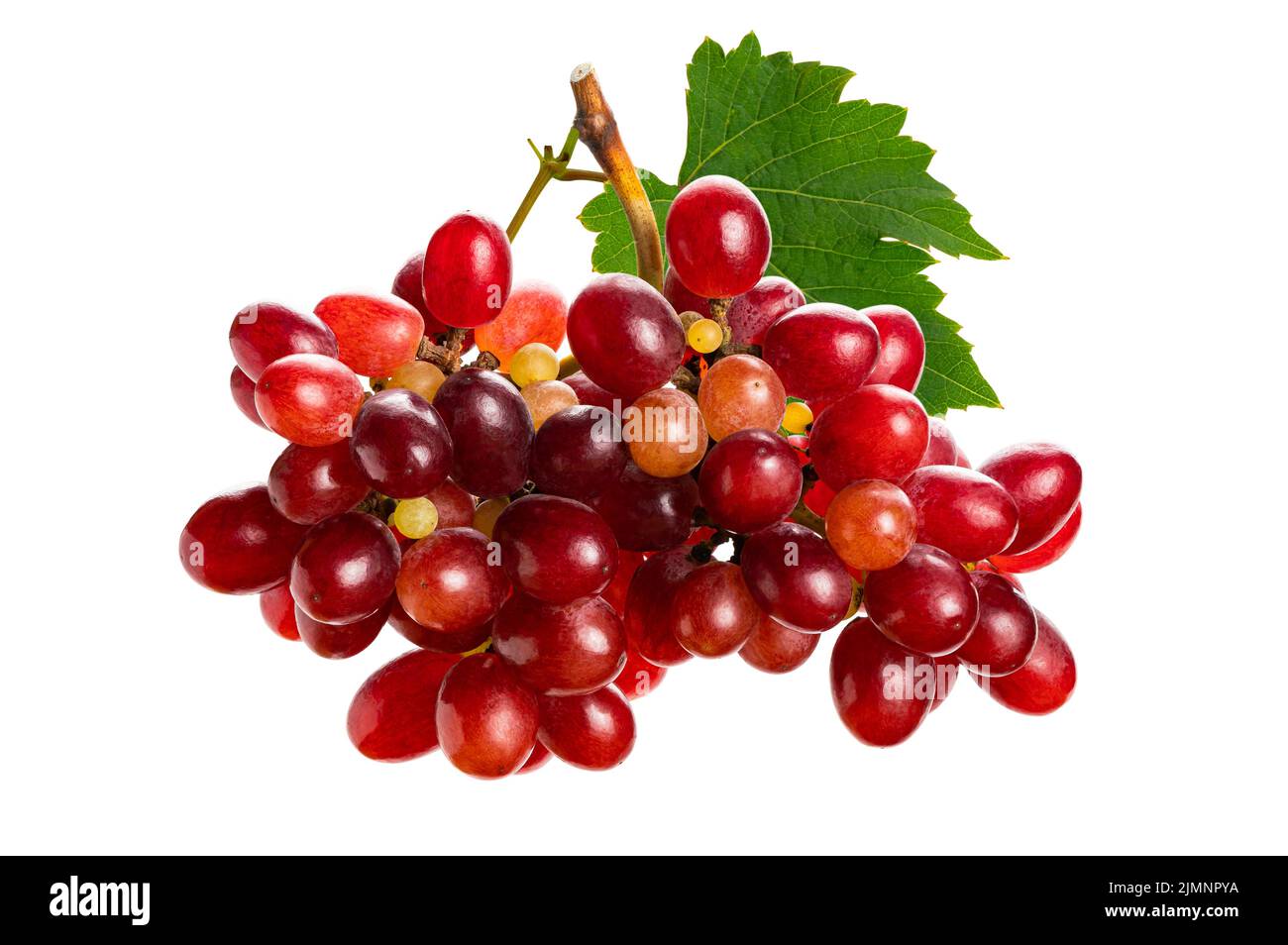Bunch of ripe red grapes with green leaf isolated on white background ...
