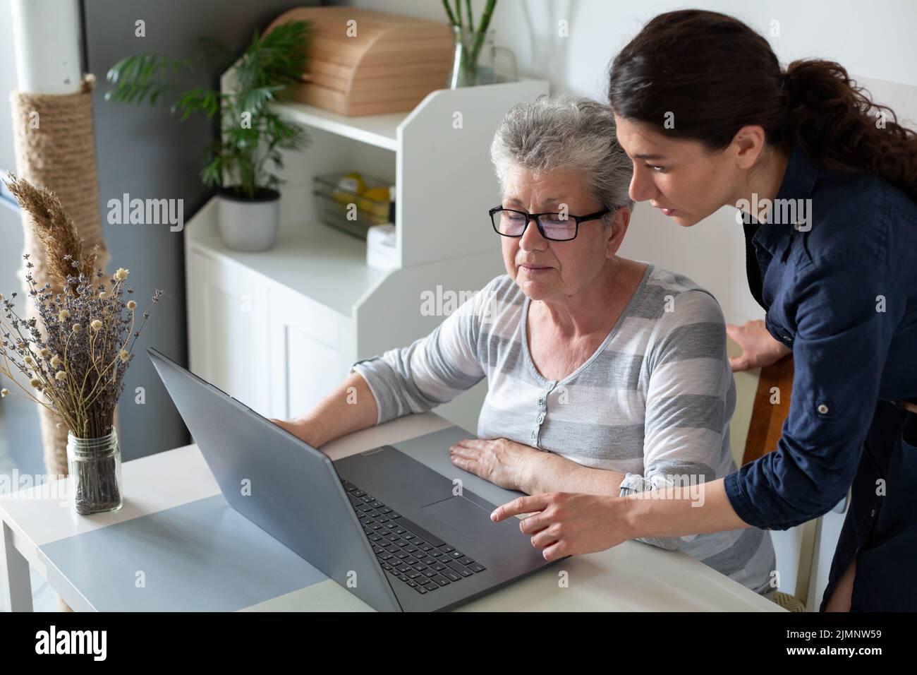 Senior women learning to use computer at home helped by a young women ...