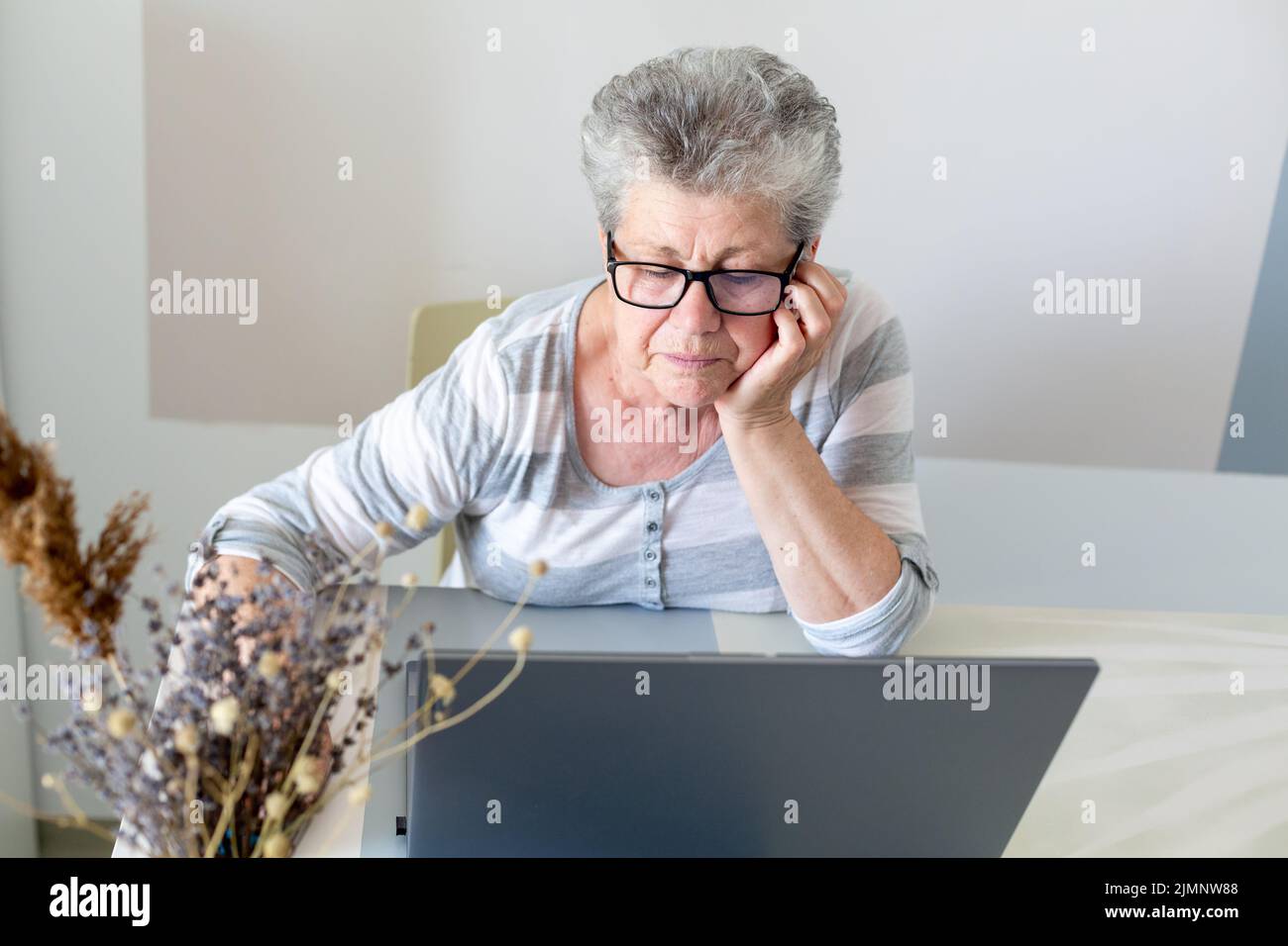 Old woman working on laptop concentrated, frontal image Stock Photo - Alamy