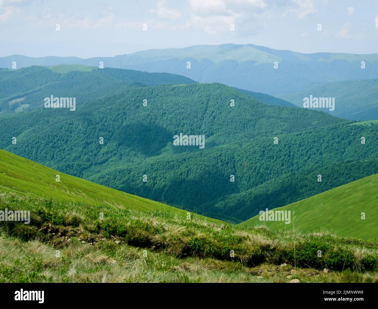 Ukraine wallpaper hi-res stock photography and images - Alamy