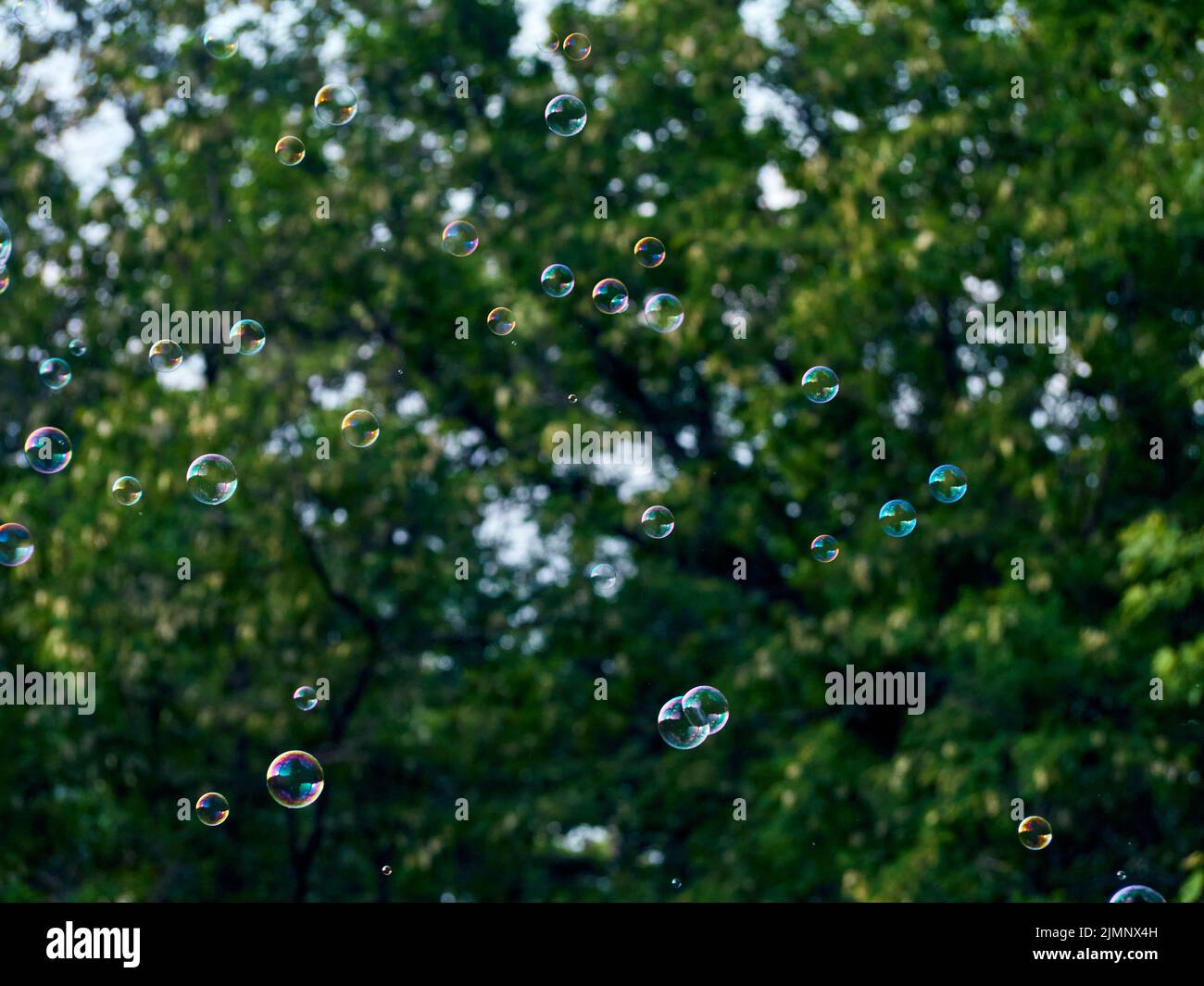 Soap bubbles on green nature background Stock Photo - Alamy