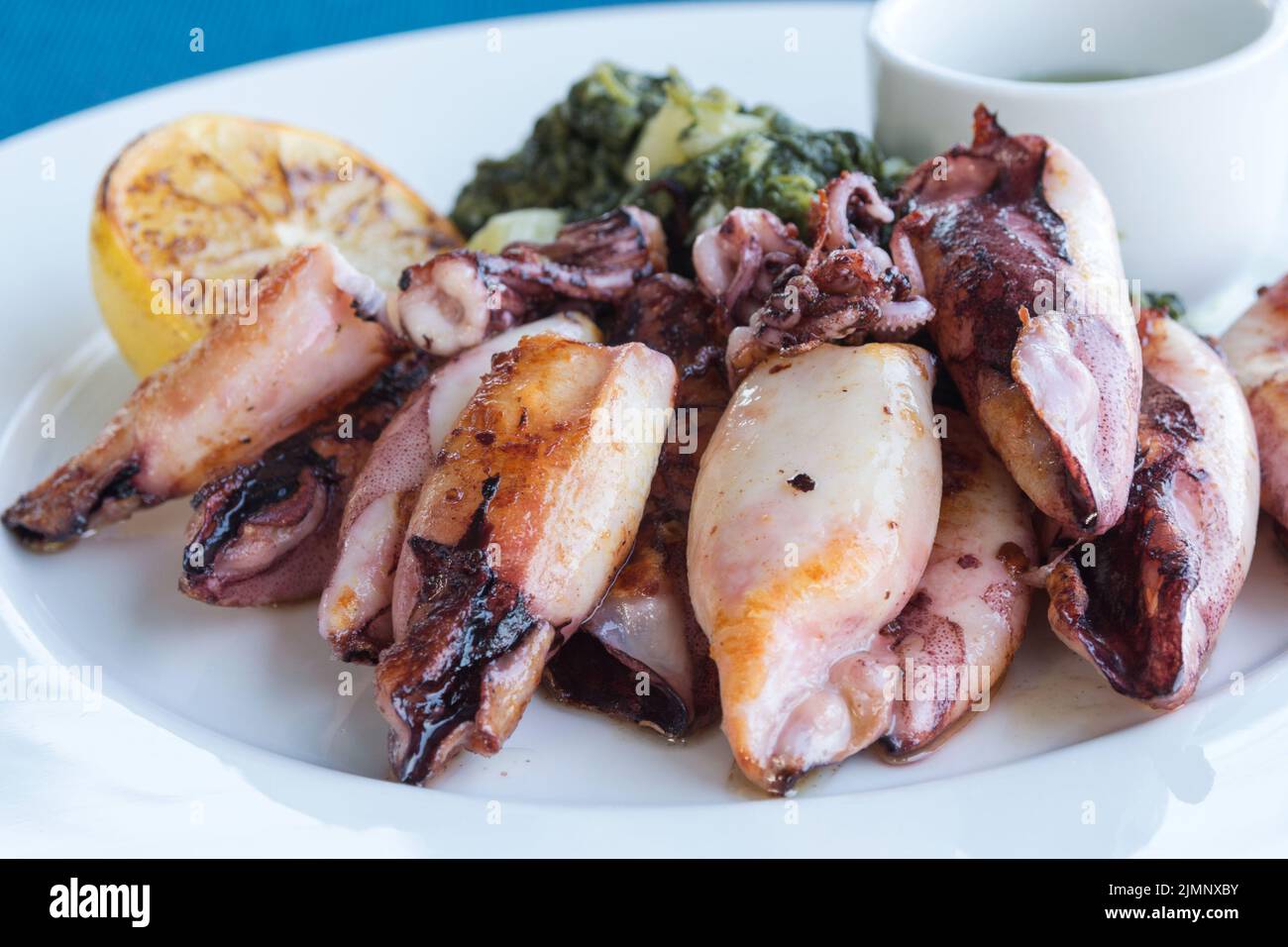 Grilled squid with potatoes and spinach on a white plate. Dish with ...