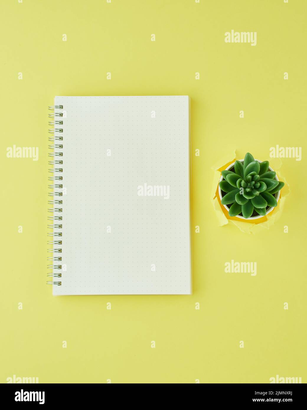 Blank notepad page in bullet journal on bright yellow office desktop ...