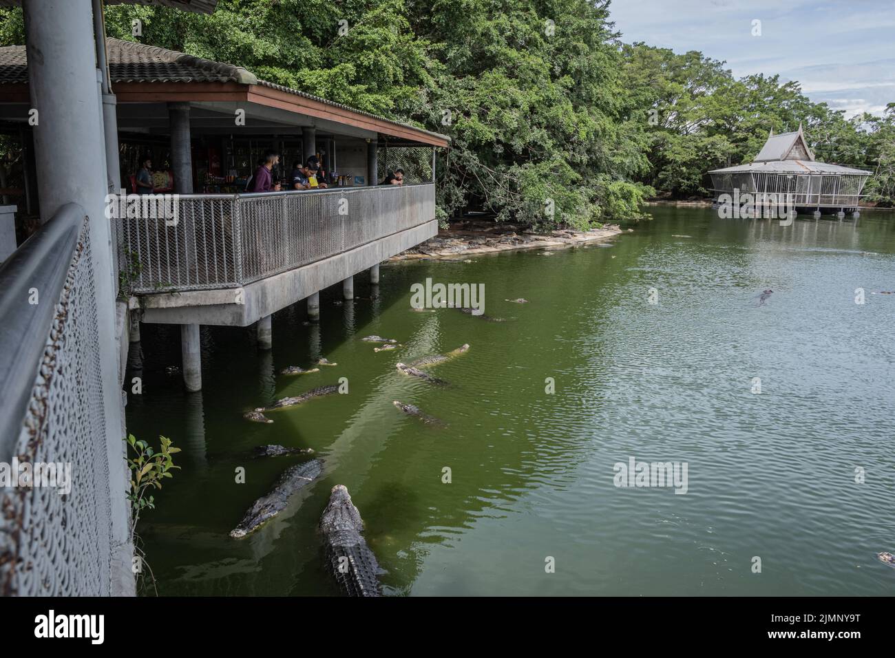 The One Million years Stone Park in Pattaya Thailand Stock Photo - Alamy